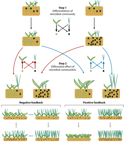 Measurement Of Microbial Growth Microbiology Assignment Help measurement-of-microbial-growth-microbiology-assignment-help